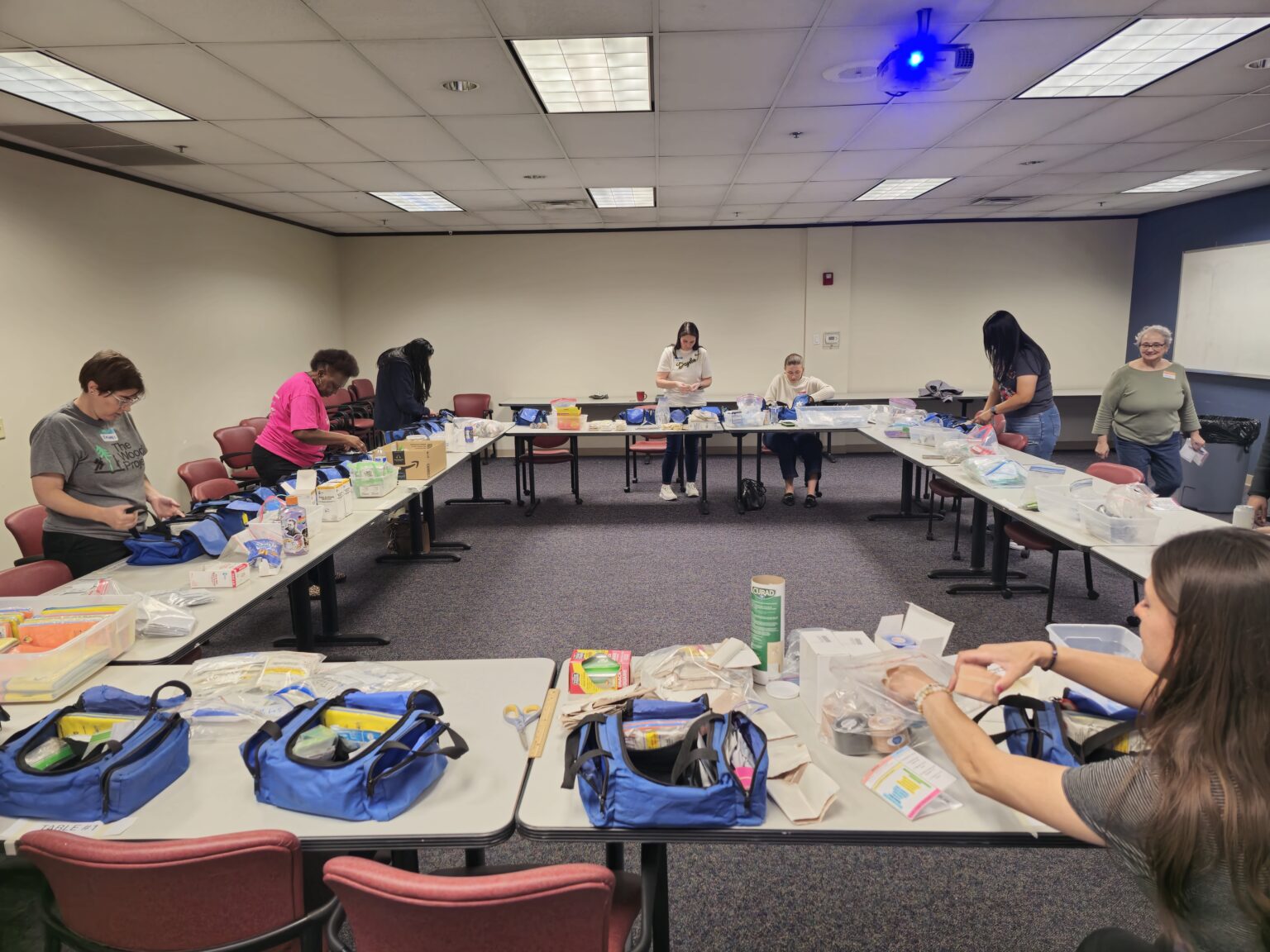 First Aid Inventory & Sorting – The Woods Project